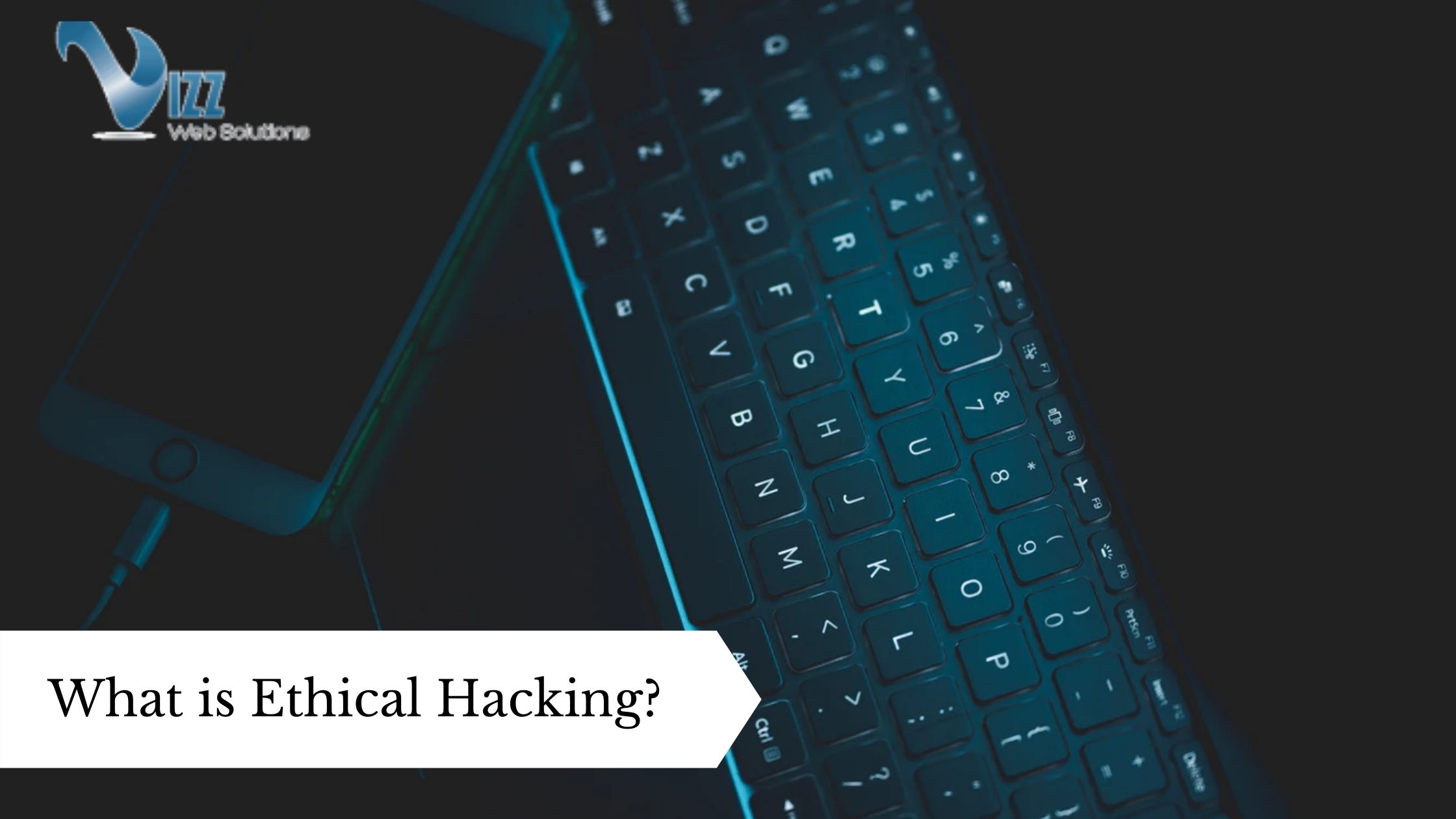 What is Ethical Hacking? Types and Operations - Vizzwebsolutions ...