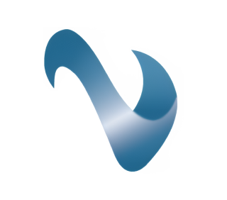 Vizz Web Solutions | Expert IT Consulting for Modern Businesses